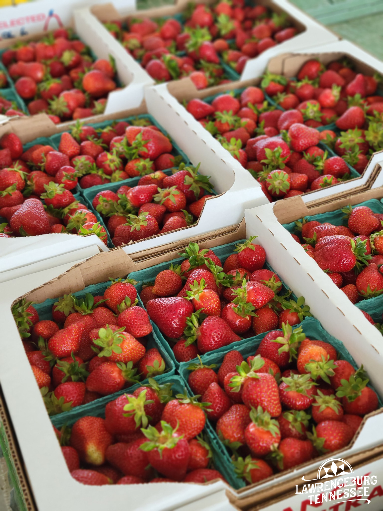 Plowboy Produce Auctions - Lawrenceburg Tourism
